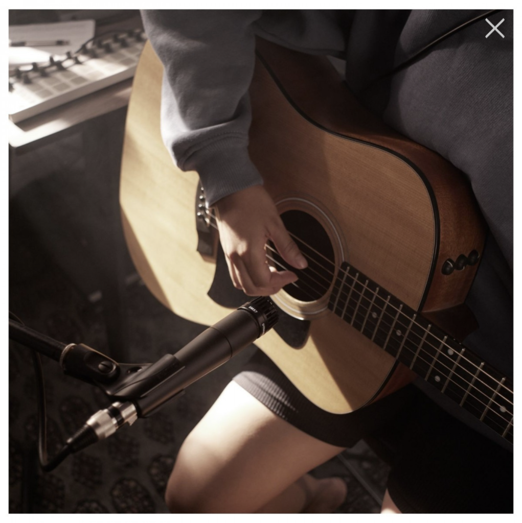 Shure SM57-LC Microphone – Søvad Guitars